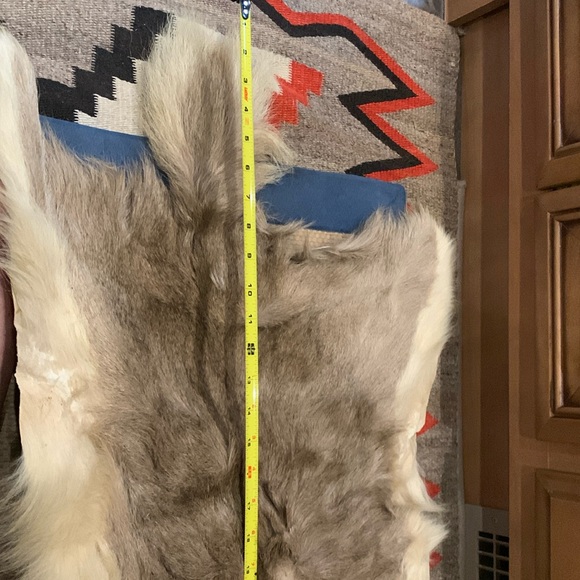 Animal pelt | Wall Decor | Authentic Deer Skin Pelt 36 X 26 | Poshmark